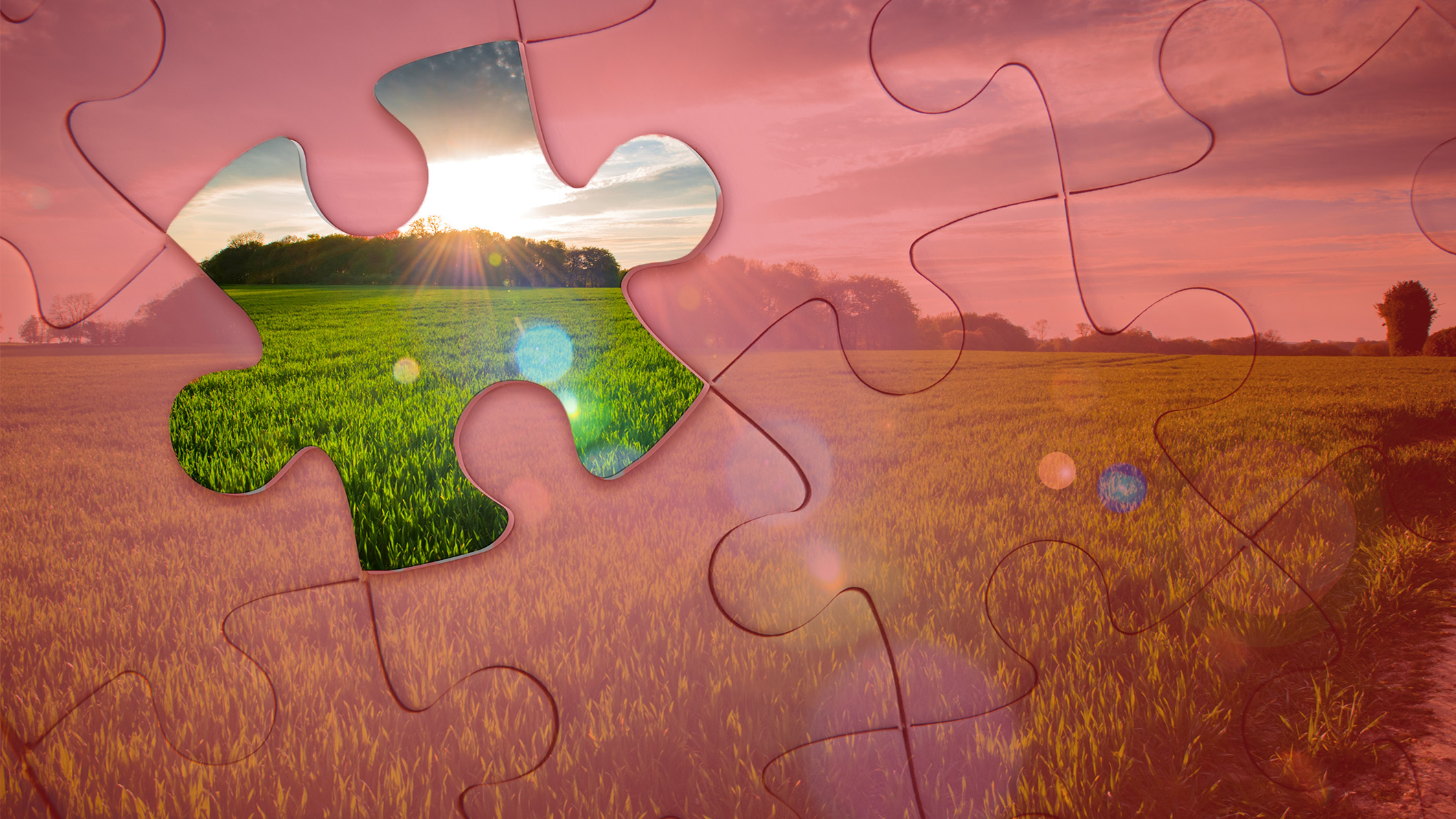 DoaneX SAG-602x Certificate | edX