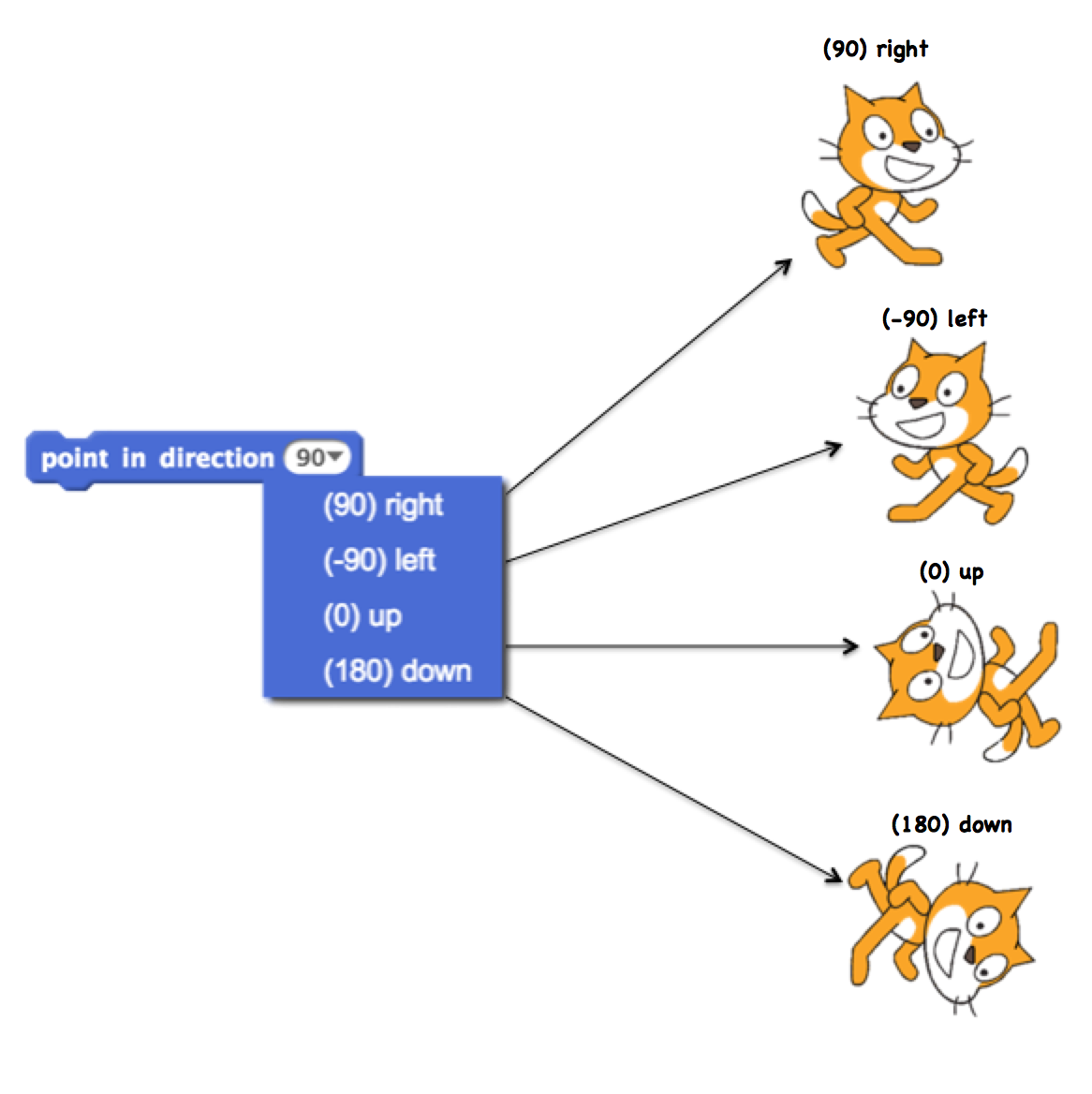 Capitolul 4. Coordonate si conditionari – scratch2edu