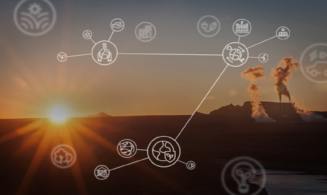 IMFx MCCx-SEP Certificate | edX