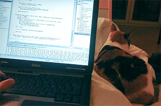 MITx 6.005.1x Certificate | edX