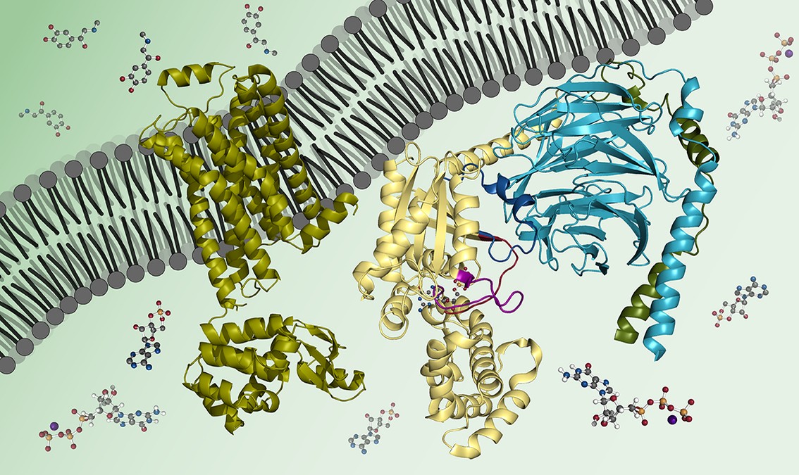 MITx 7.05x Certificate | edX