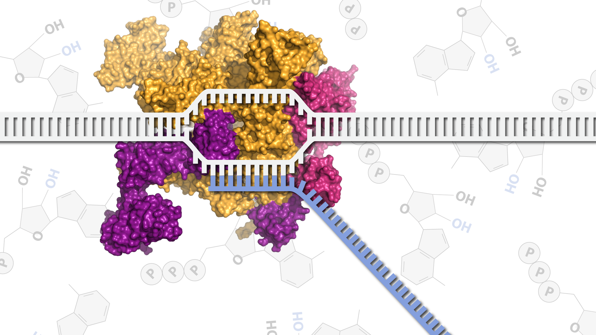 MITx 7.28.2x Certificate | edX