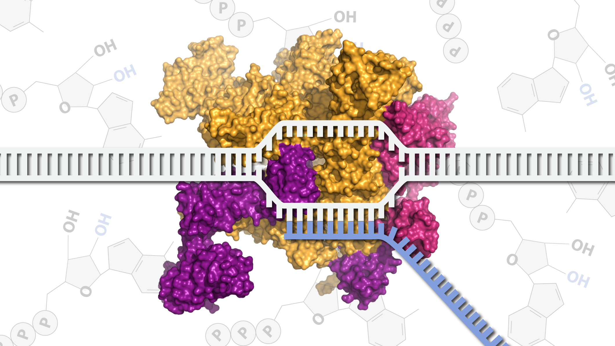 MITx 7.28.2x Certificate | edX