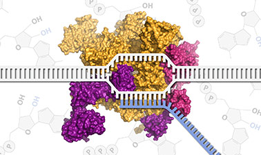 MITx 7.28.2x Certificate | edX