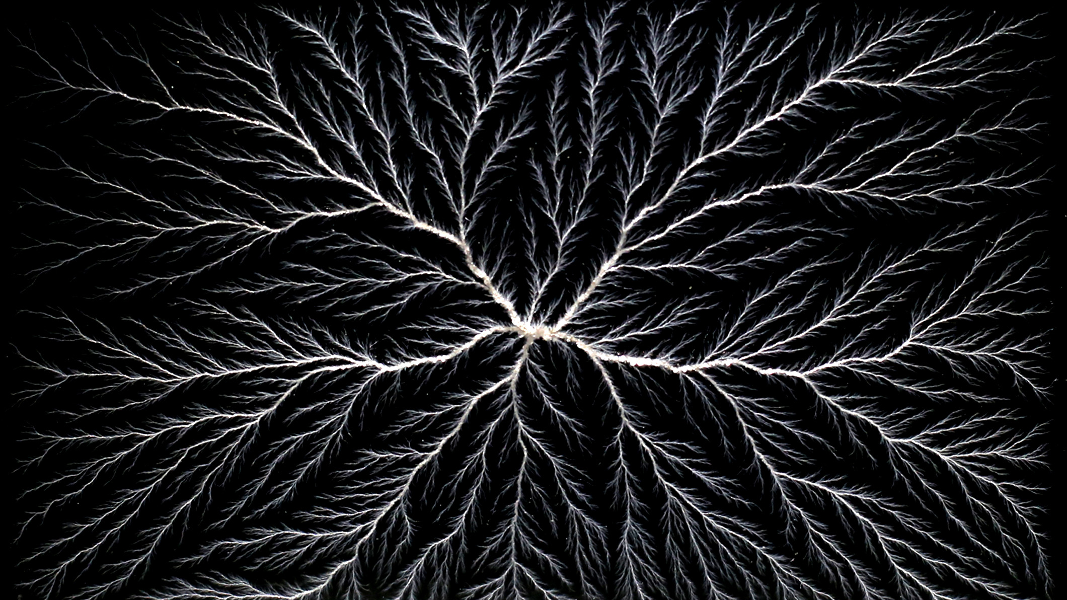 MITx 8.02.1x Certificate | edX