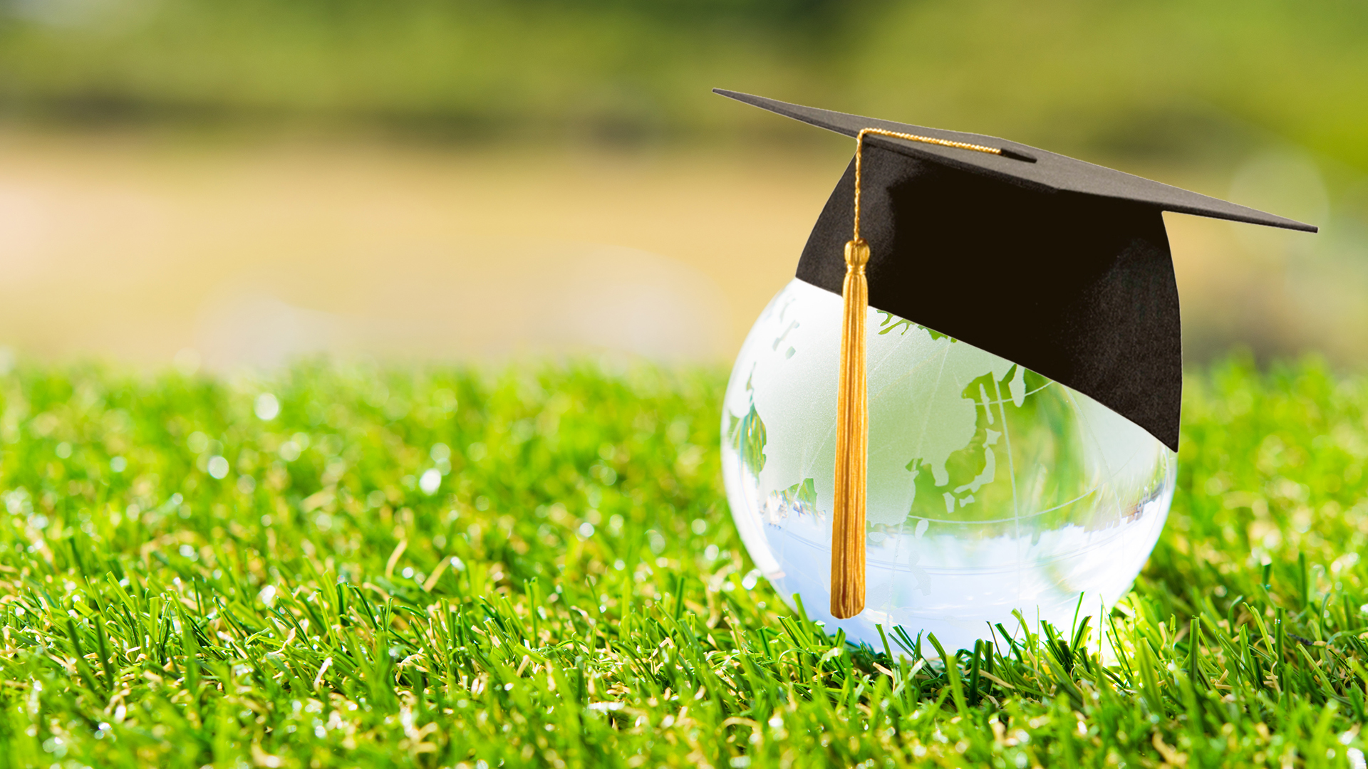 UAMx EduSuprax Certificate | edX