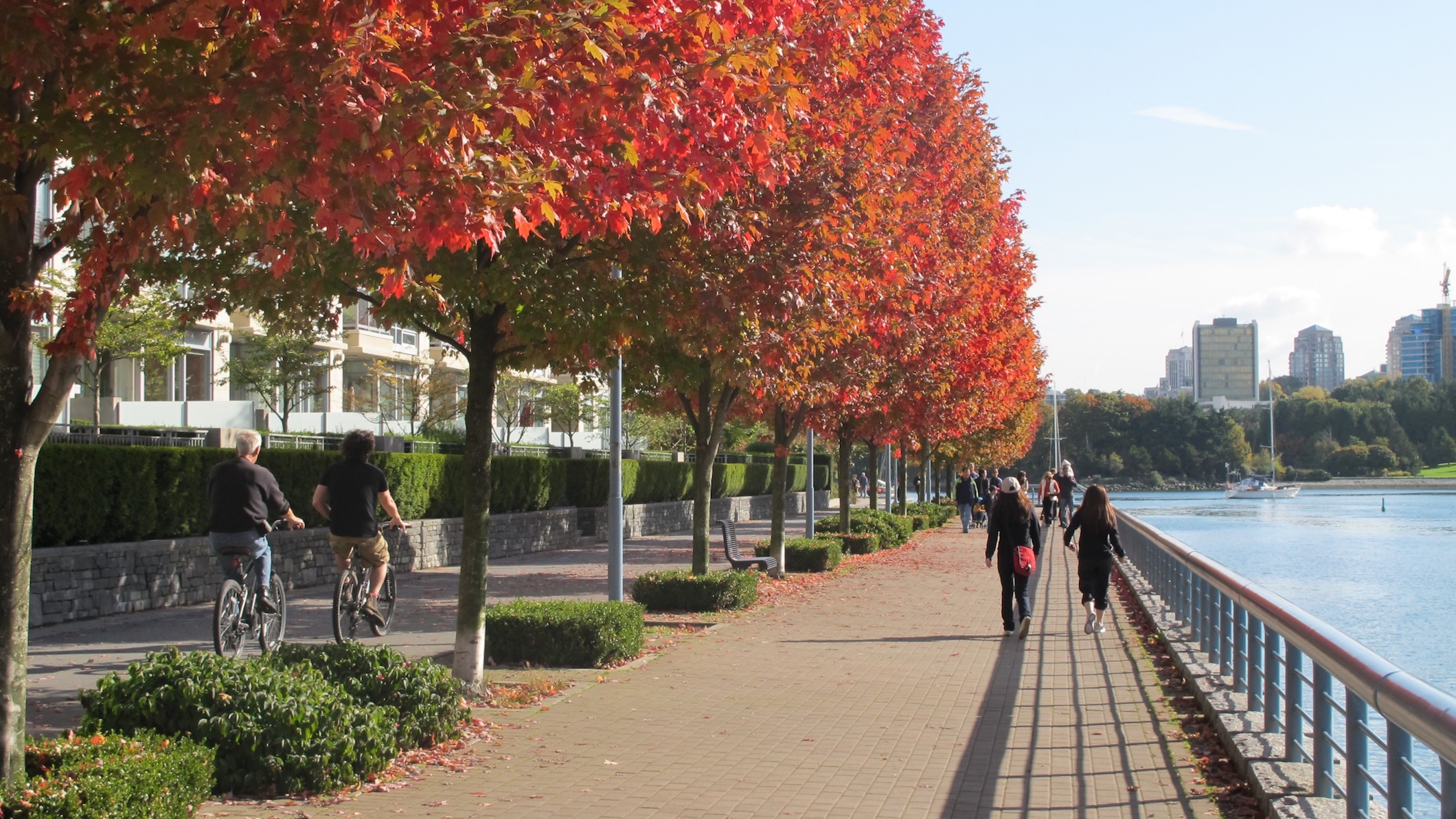 UBCx EcodesignX Certificate | edX