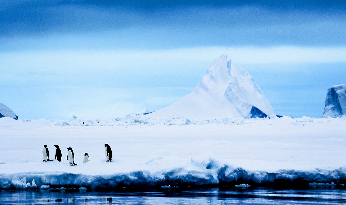 VictoriaX ICE102x Certificate | edX