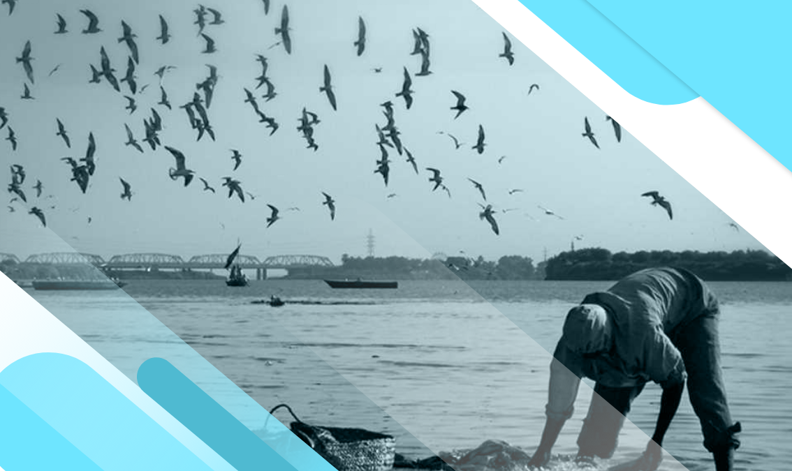 WBGx PEFA01x Certificate | edX